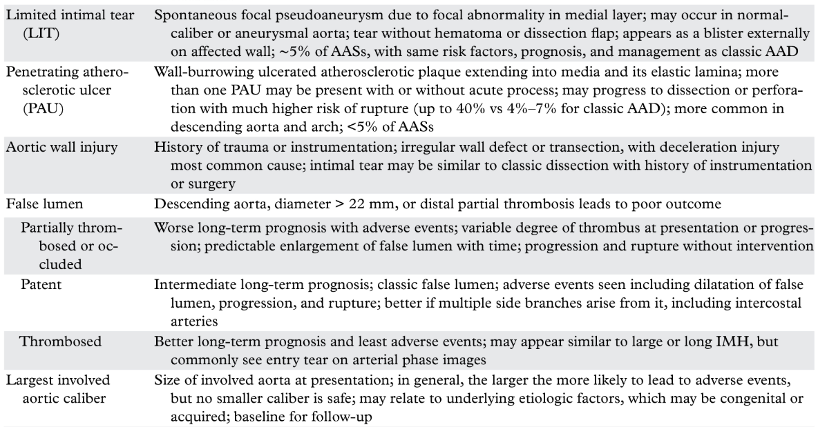 2b - Anhvanyds Medical English